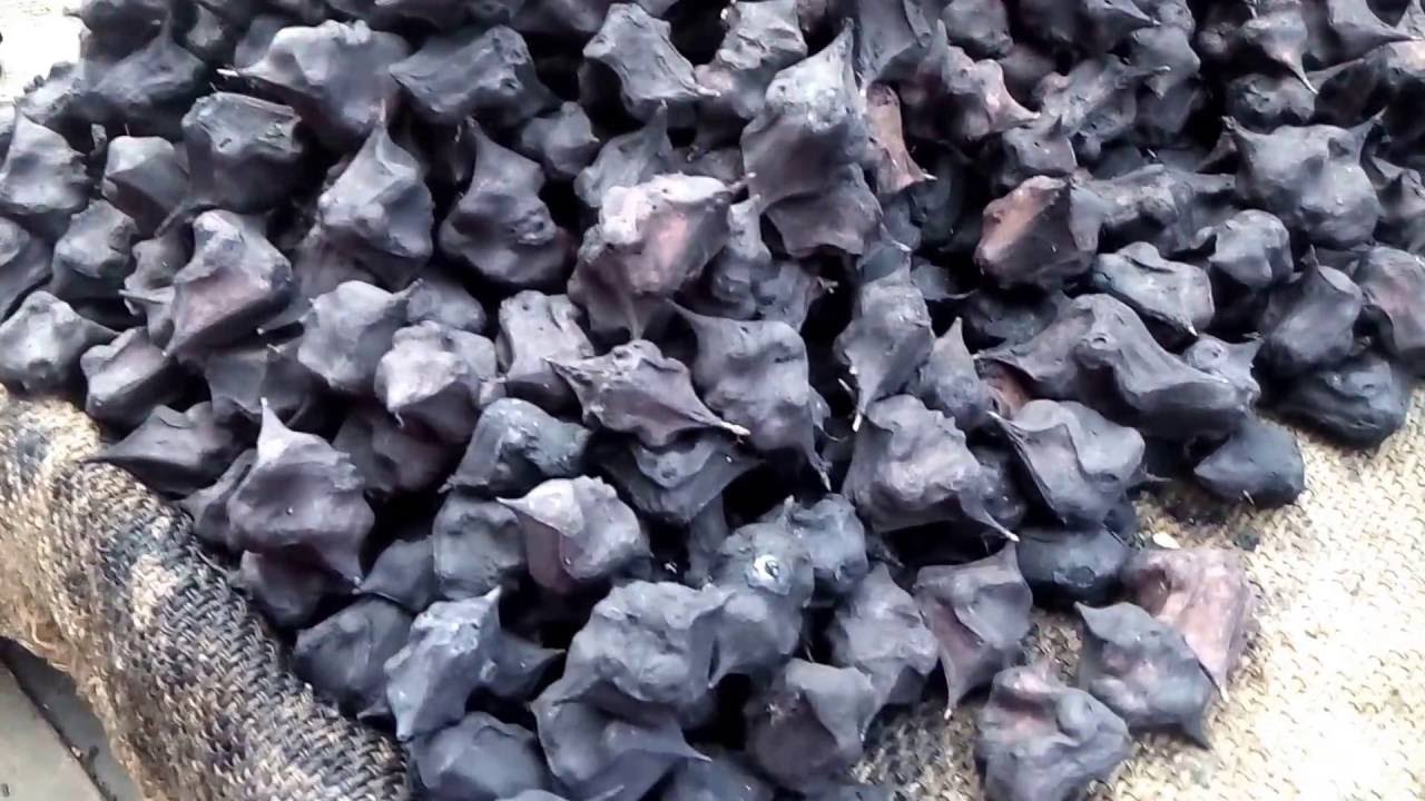 Preventing common cold in winter: foods that keep you warm and ...