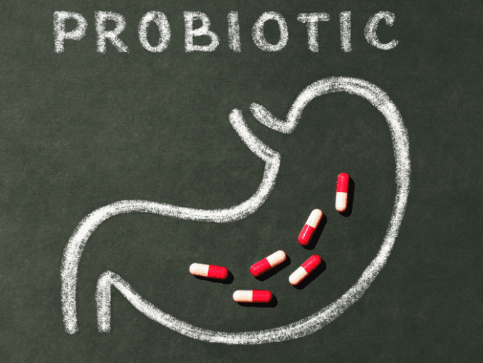 These 5 probiotic foods will help keep your gut healthy!